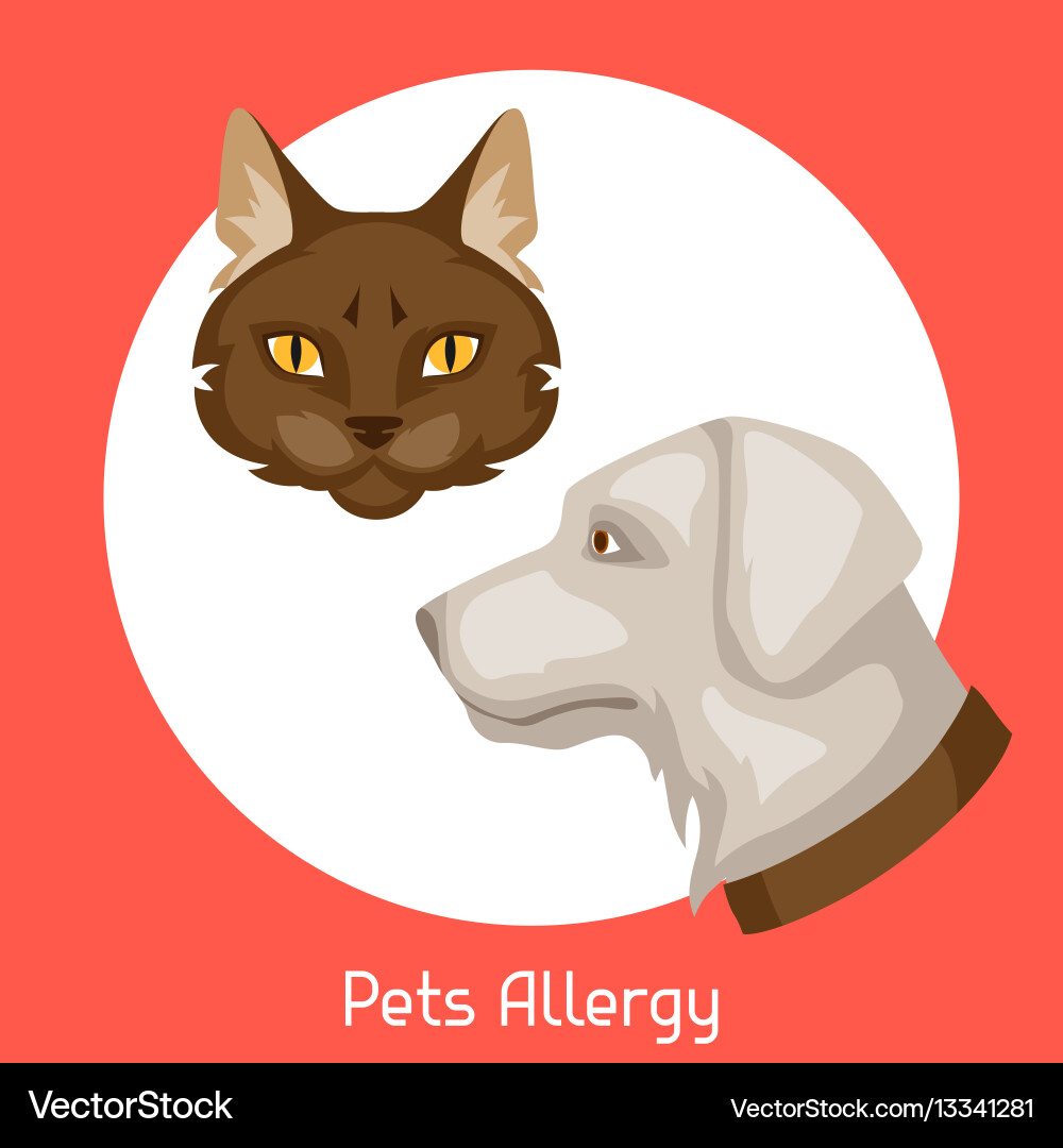 Pets allergy for medical Royalty Free Vector Image