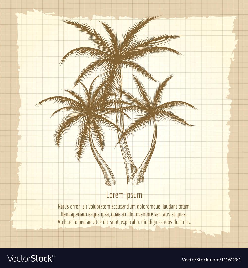 Vintage poster with palm tree Royalty Free Vector Image