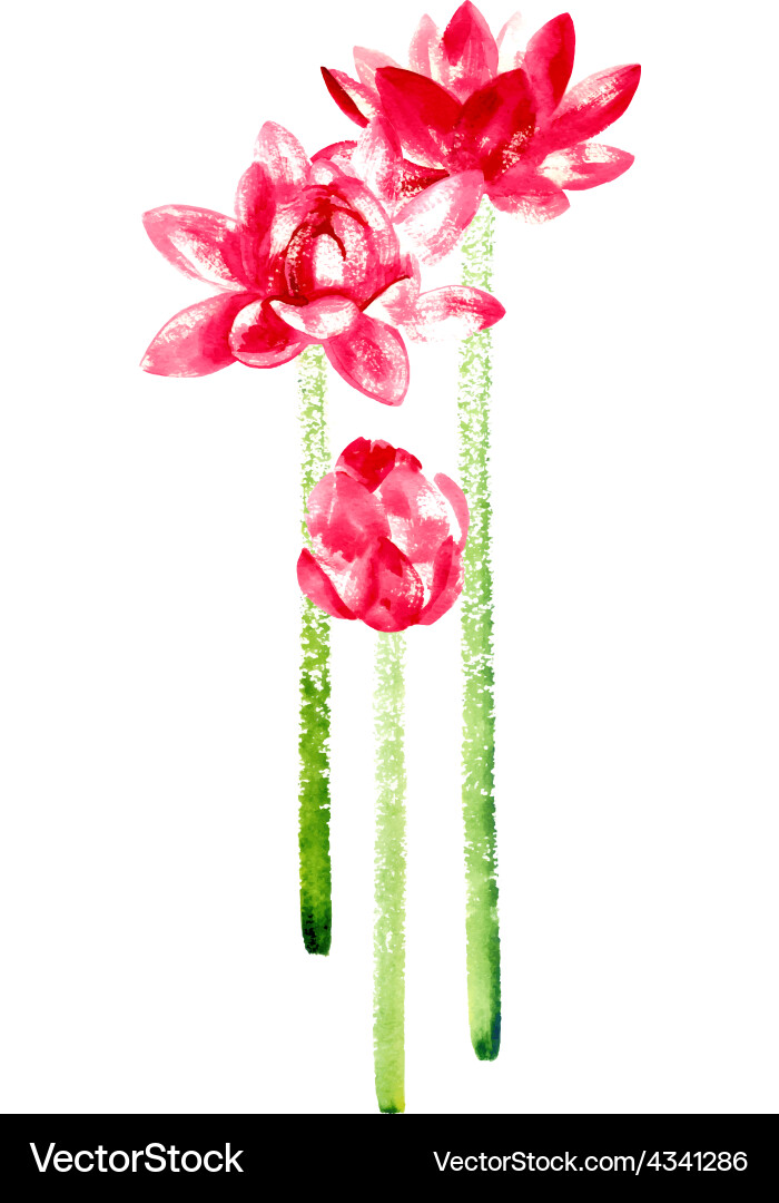 Background with red watercolor lotus Royalty Free Vector