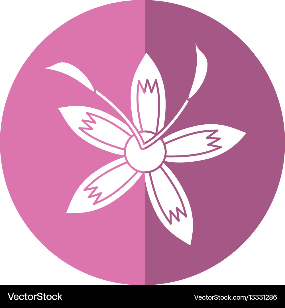 Flower daylily beautiful flora shadow Royalty Free Vector