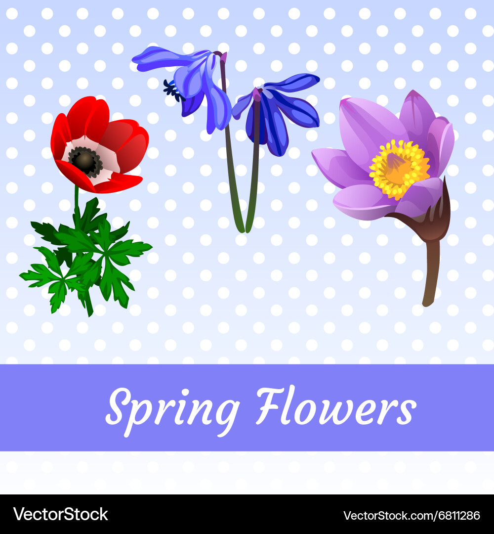 Three icons of spring flowers Royalty Free Vector Image