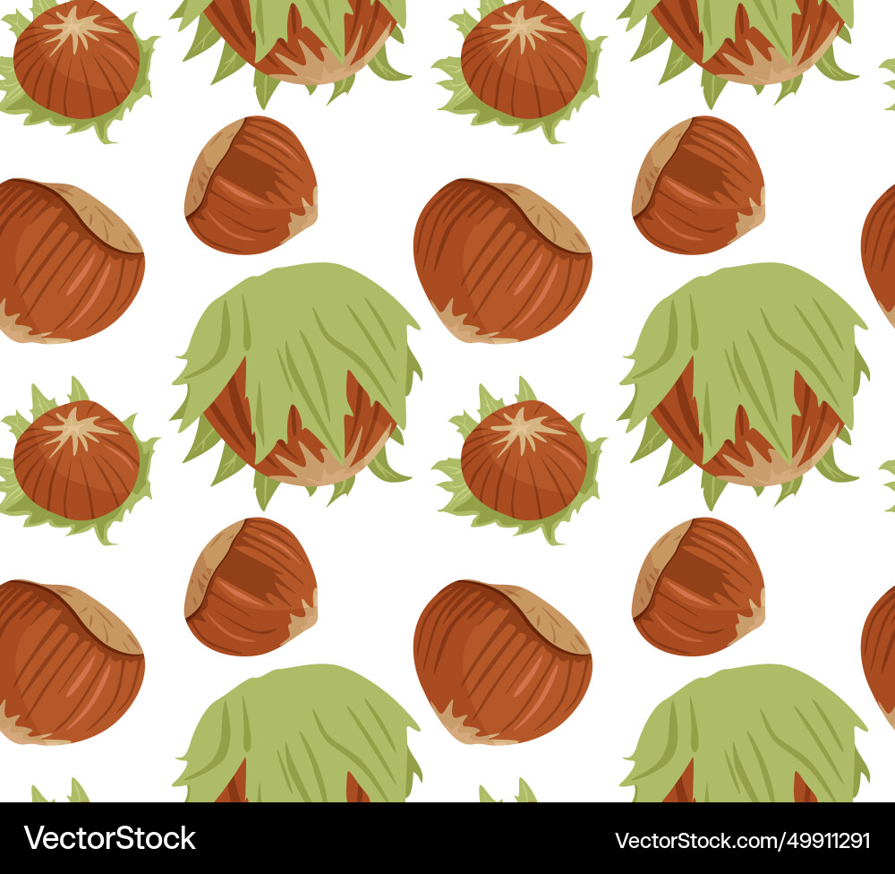 Growing hazelnuts in leaves and grown Royalty Free Vector