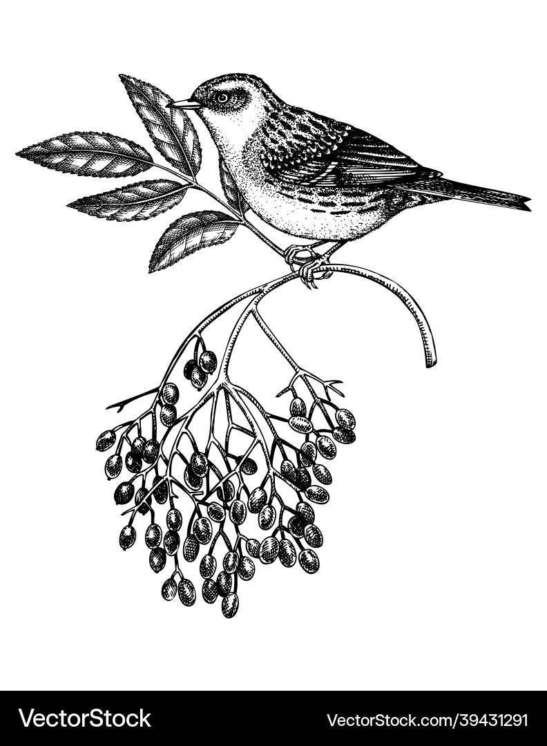 Hand-sketched bird with autumn flowers fall Vector Image