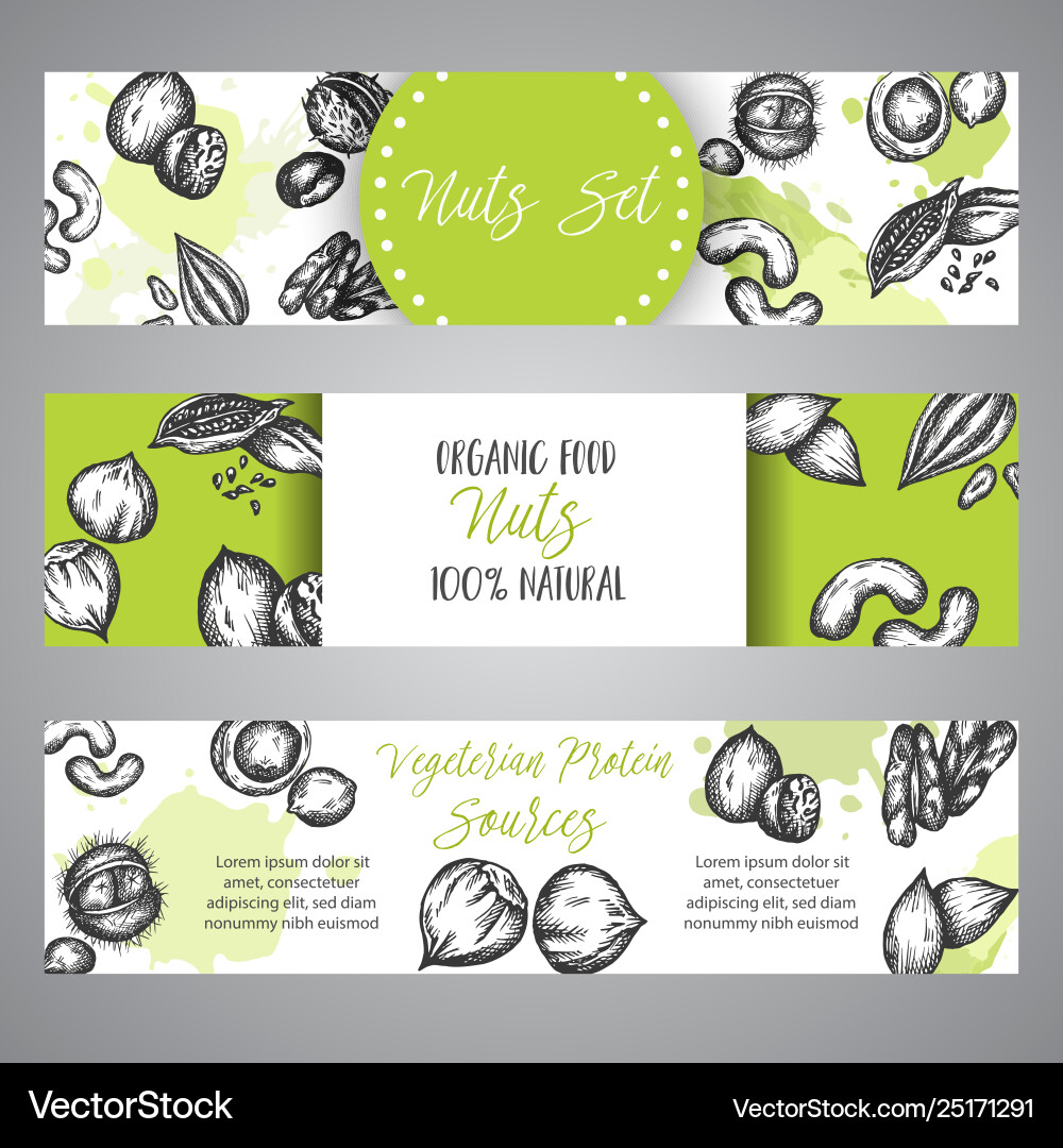 Nuts and seeds banner set hand drawn Royalty Free Vector