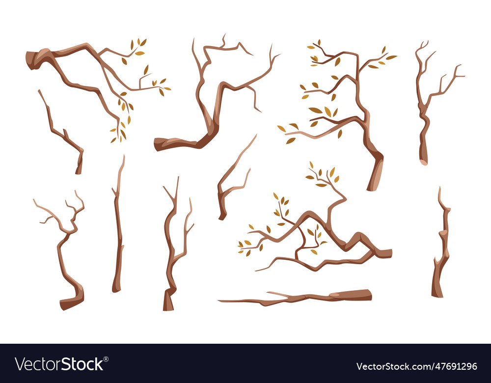 Branches wooden tree branches in cartoon style Vector Image