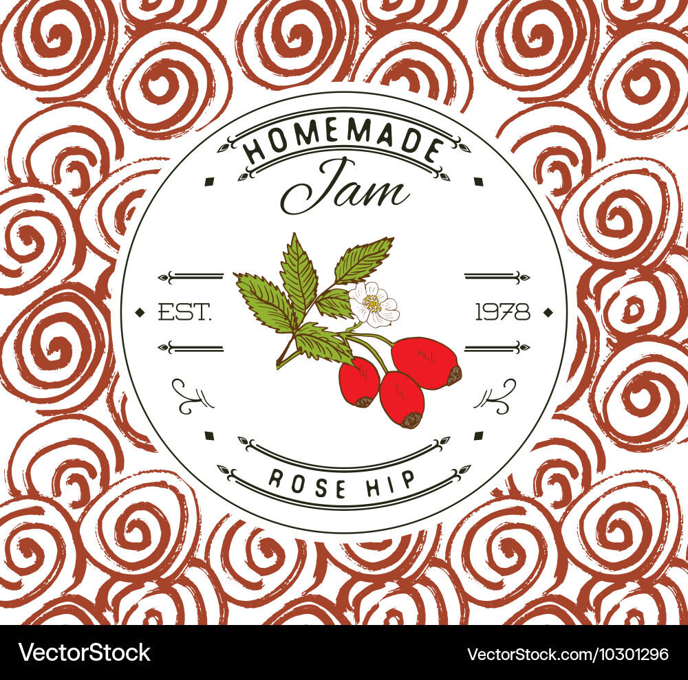 Jam label design template for rose hip dessert Vector Image