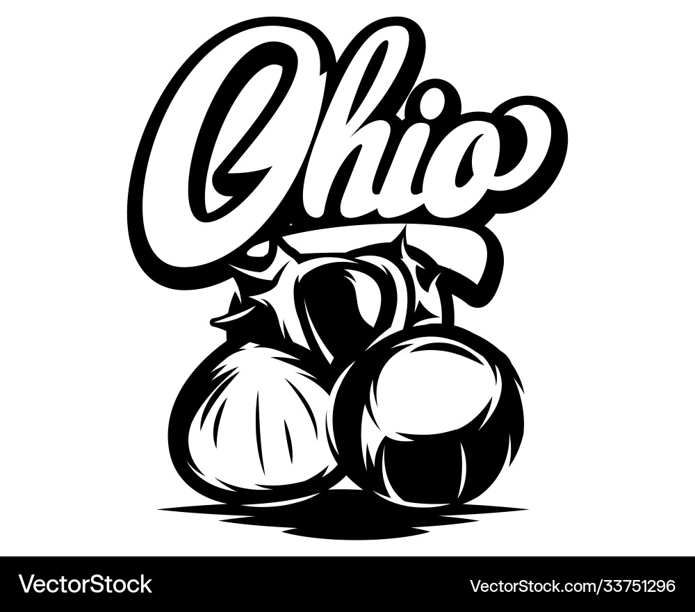 Ohio calligraphic inscription with chestnut black Vector Image