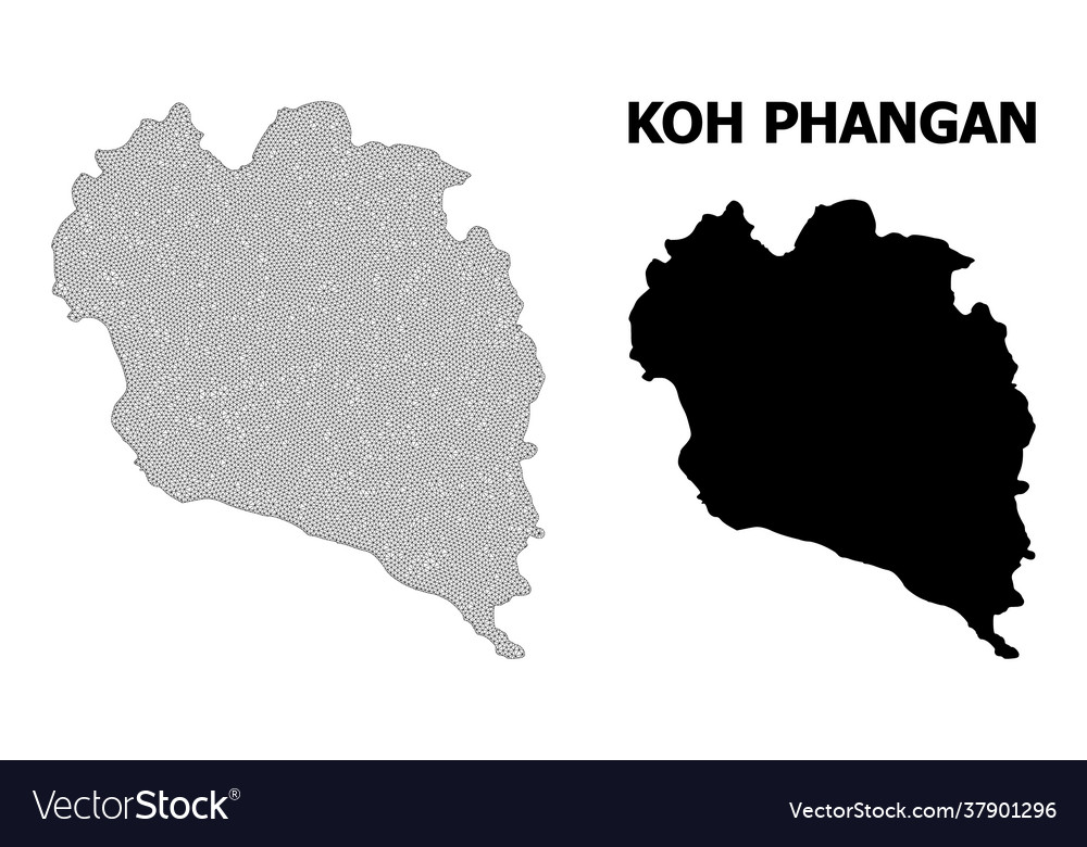 Polygonal wire frame mesh high resolution Vector Image Polygonal wire frame mesh high resolution Vector Image