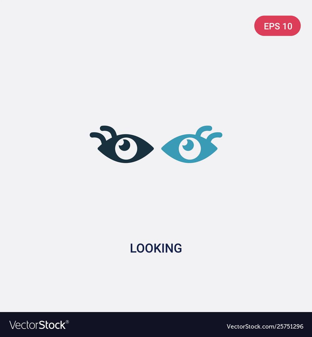 Two color looking icon from user interface Vector Image