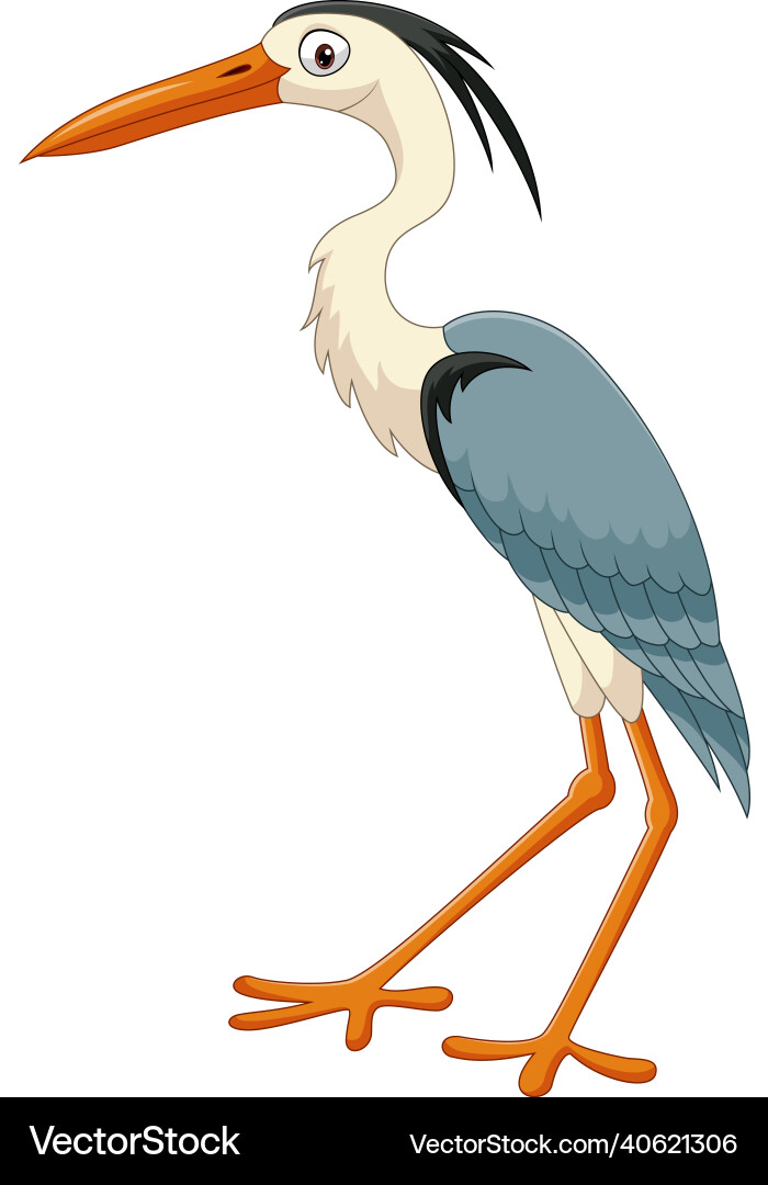 Cartoon funny crane bird on white background Vector Image