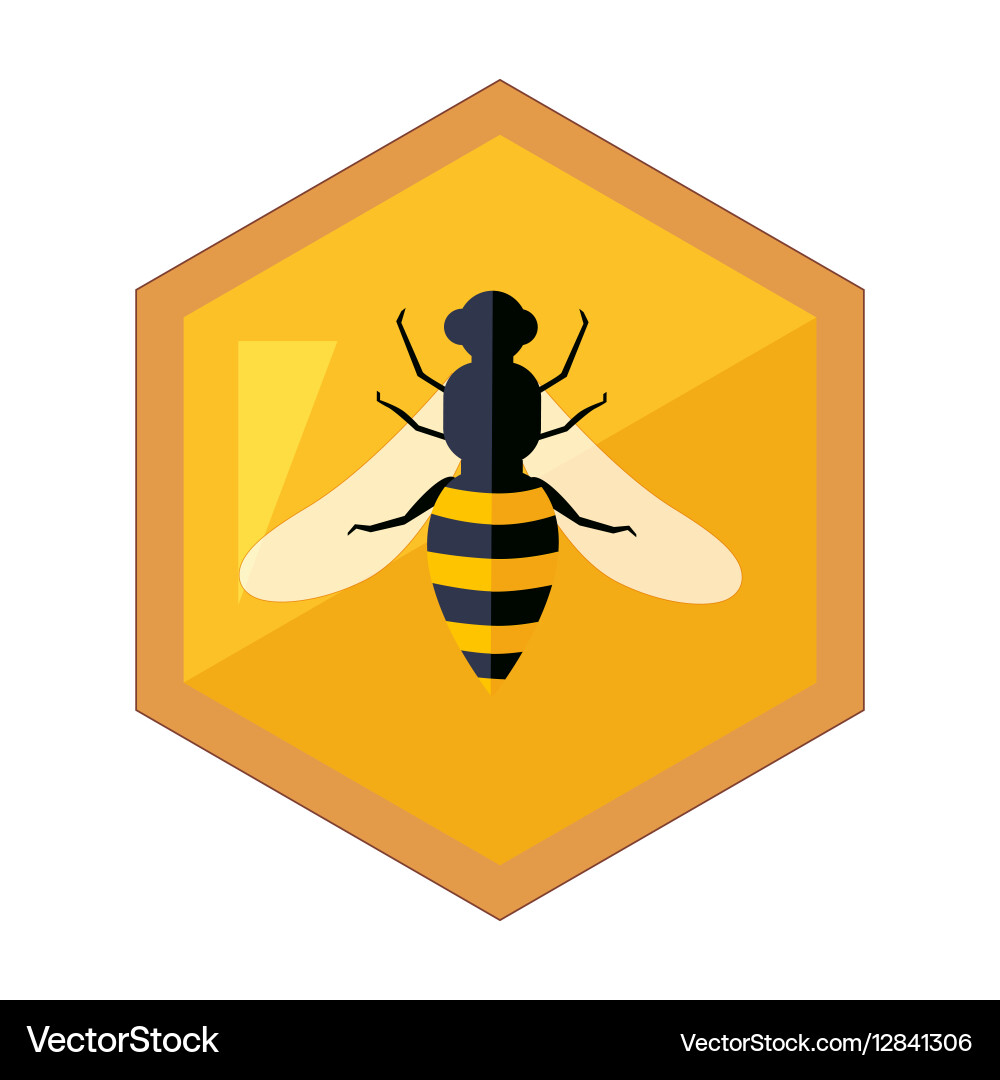 Hexagon Shape Honeycomb With Bee Insect In Center Vector Image