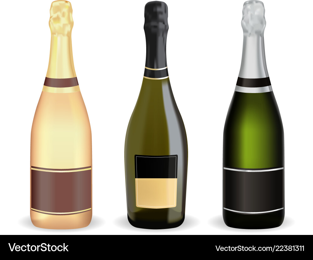 Bottles of champagne set Royalty Free Vector Image