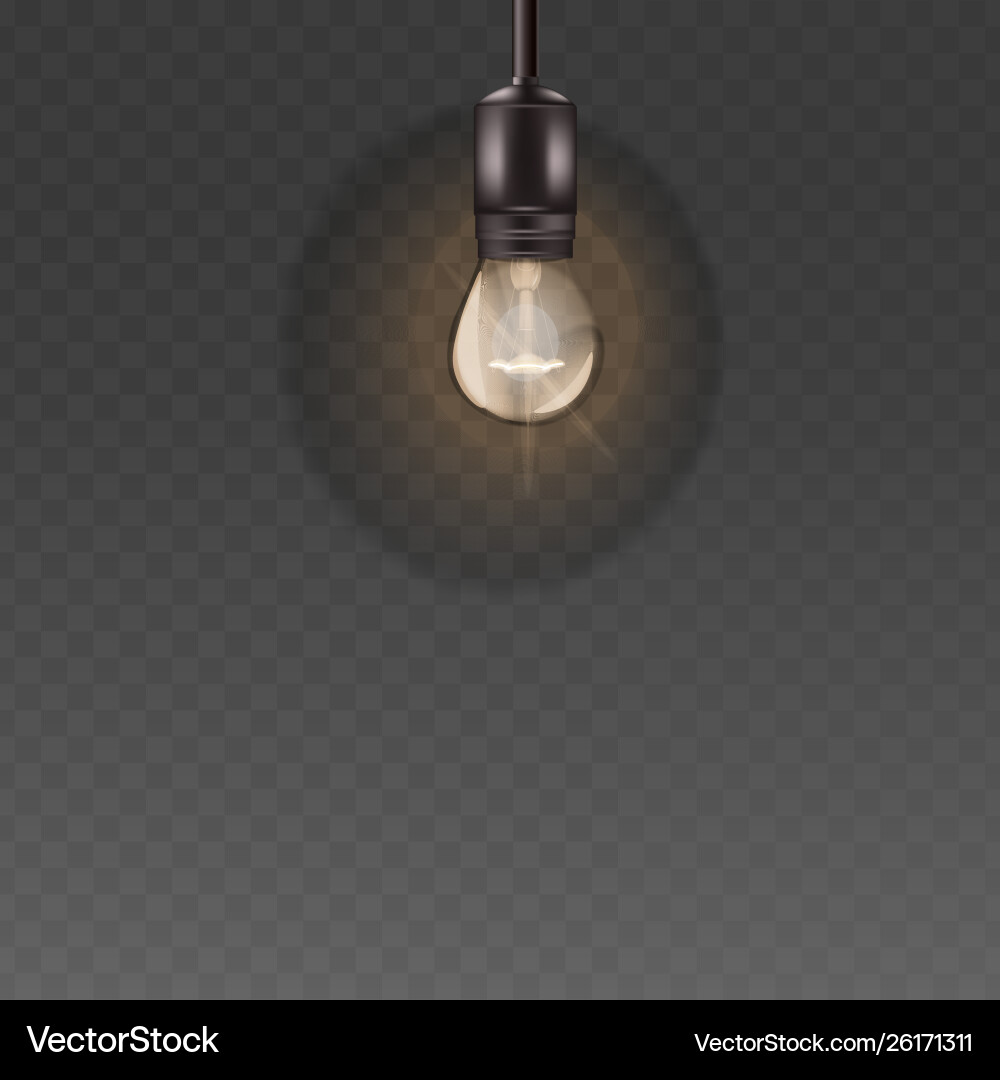 Light bulb or glass electric lamp 3d Royalty Free Vector