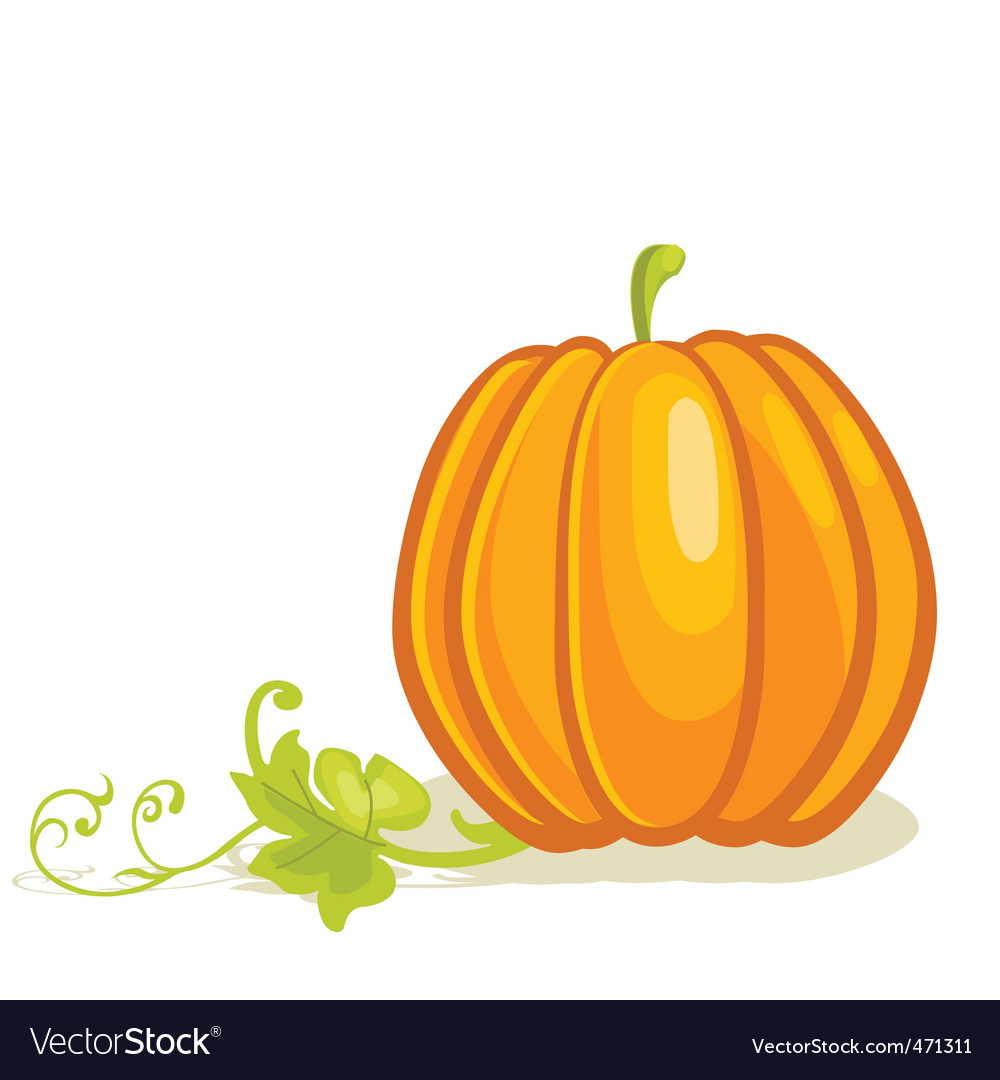 Pumpkin Royalty Free Vector Image - VectorStock