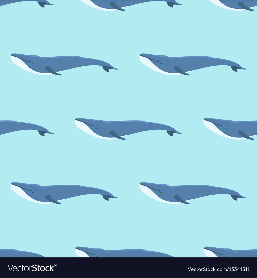 Whale seamless pattern Royalty Free Vector Image