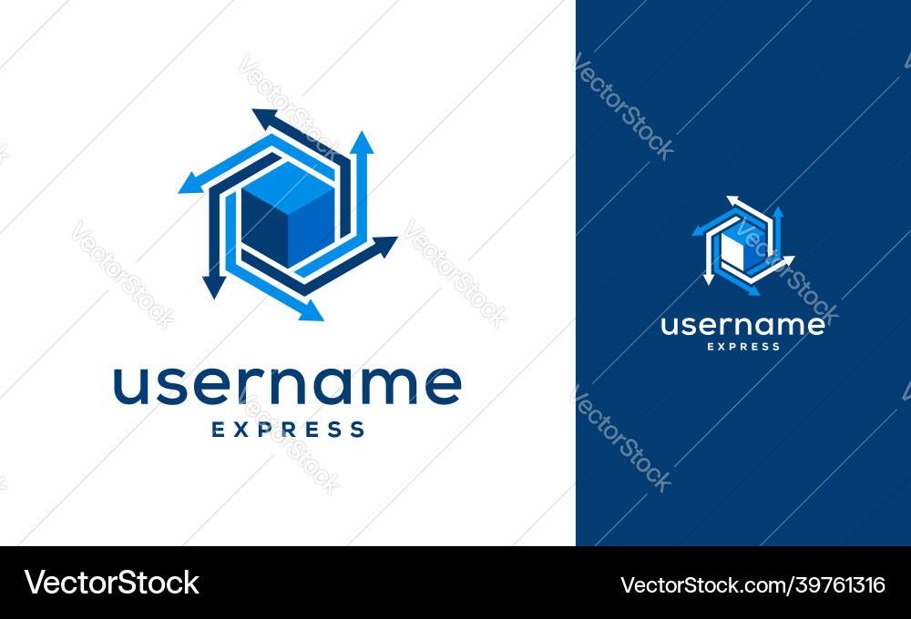 Box express delivery logo logistic company logo Vector Image