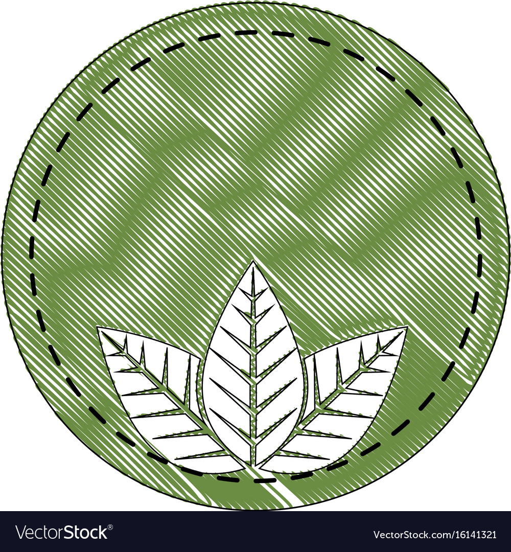 Sheets trees round icon Royalty Free Vector Image