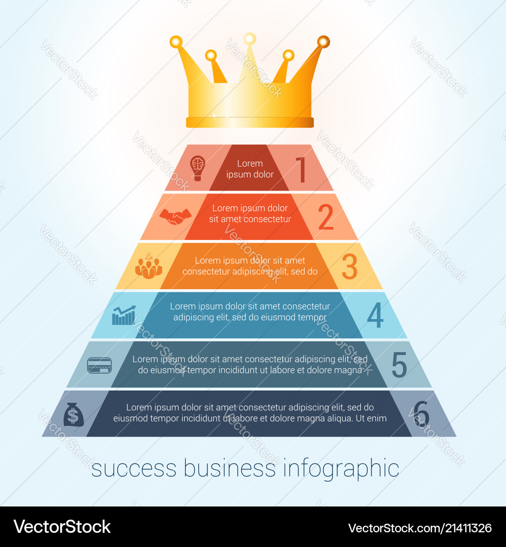 Infographic success business modern template for Vector Image