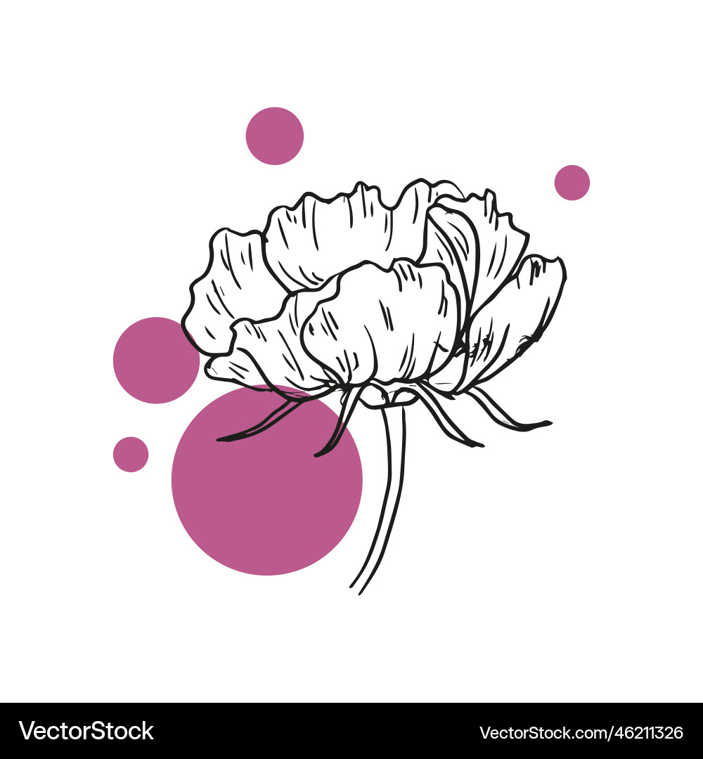 Sketched spring and summer flower print in bright Vector Image
