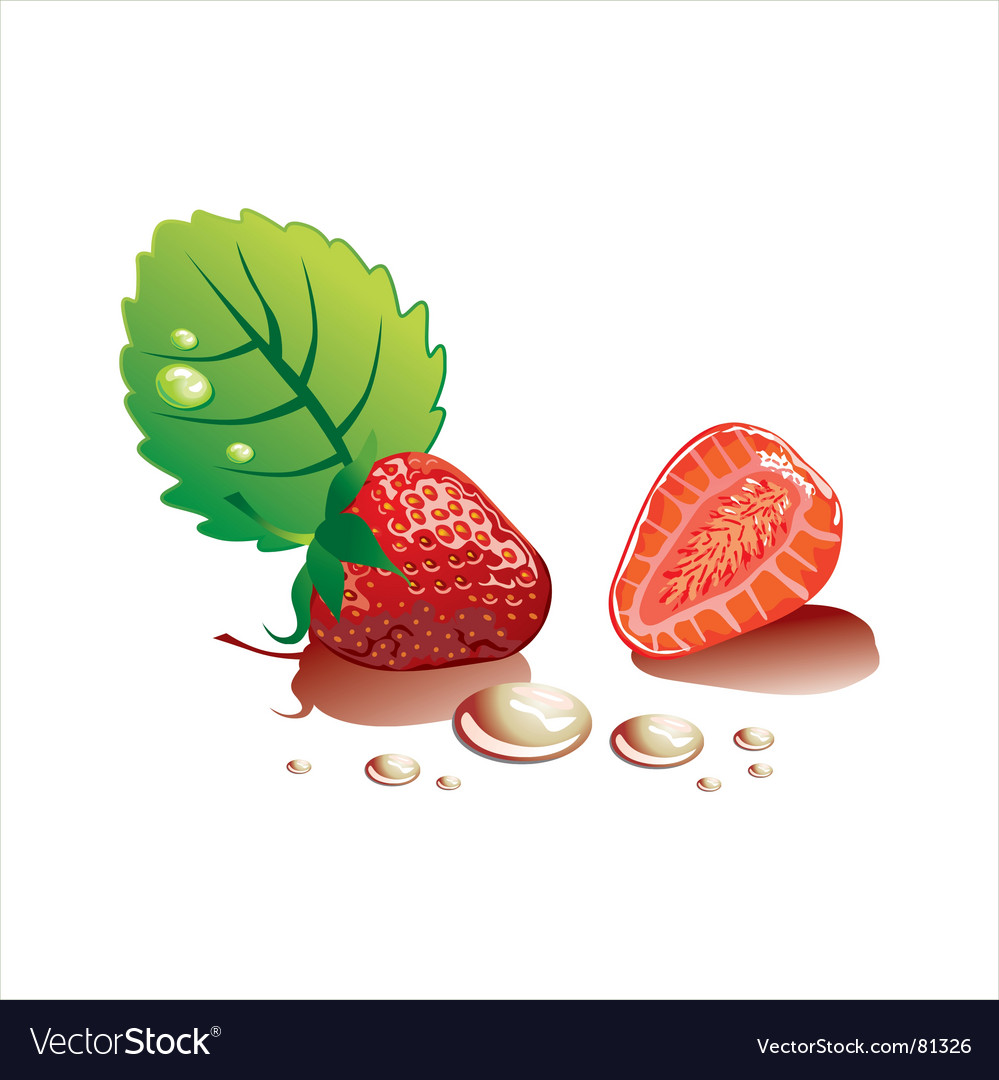 Strawberry Royalty Free Vector Image - VectorStock