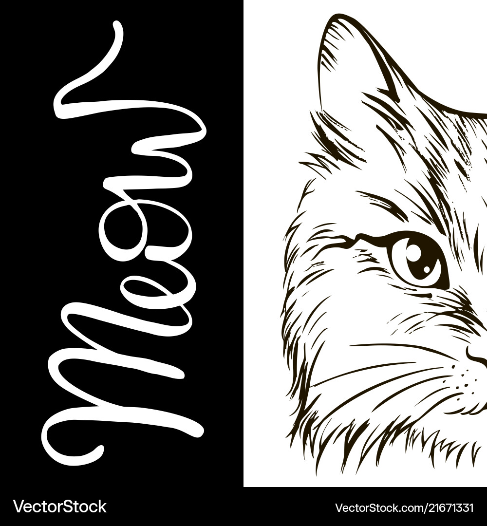 Beautiful cat word meow Royalty Free Vector Image
