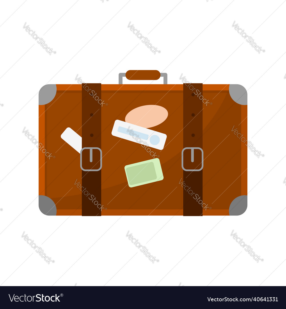 Case in flat style Royalty Free Vector Image - VectorStock