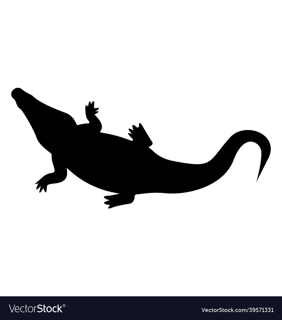 Crocodile Royalty Free Vector Image - VectorStock
