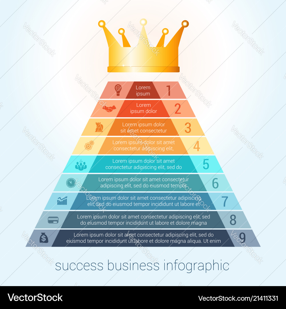 Infographic success business modern template Vector Image