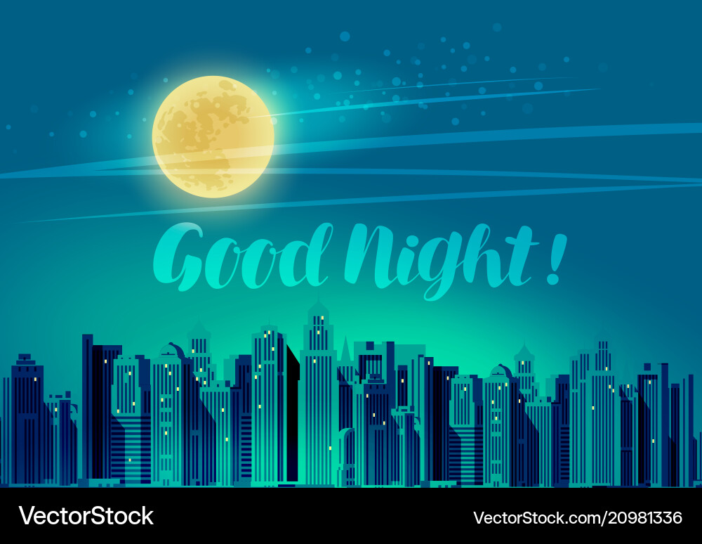 Modern city panoramic cityscape good night Vector Image