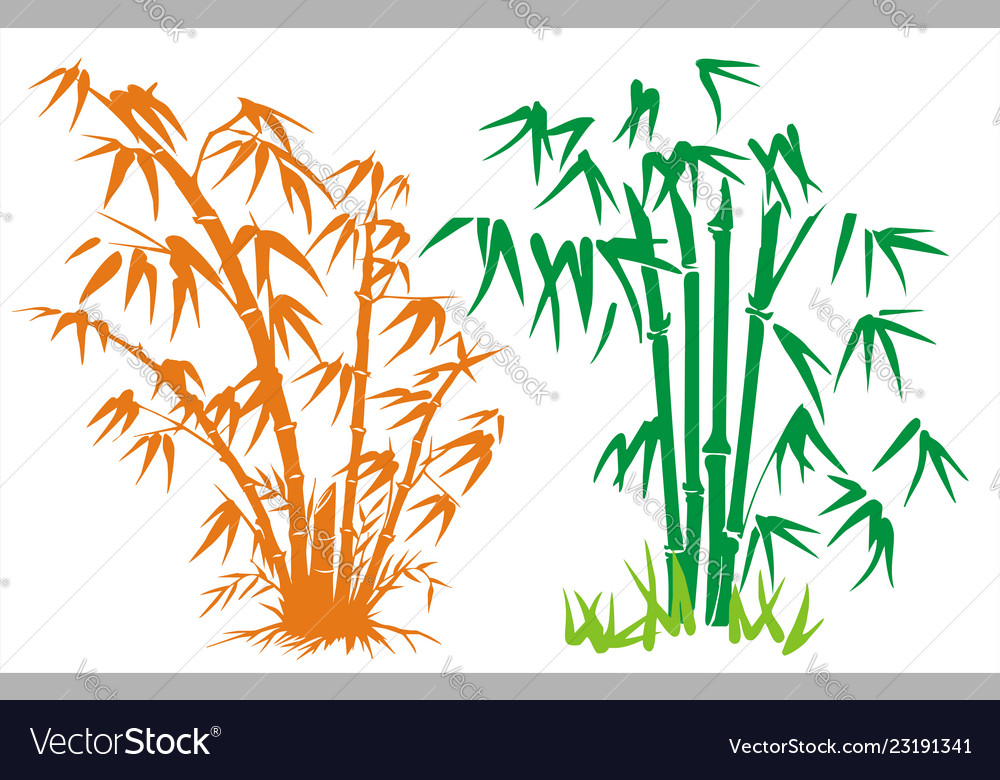 Bamboo Royalty Free Vector Image - VectorStock