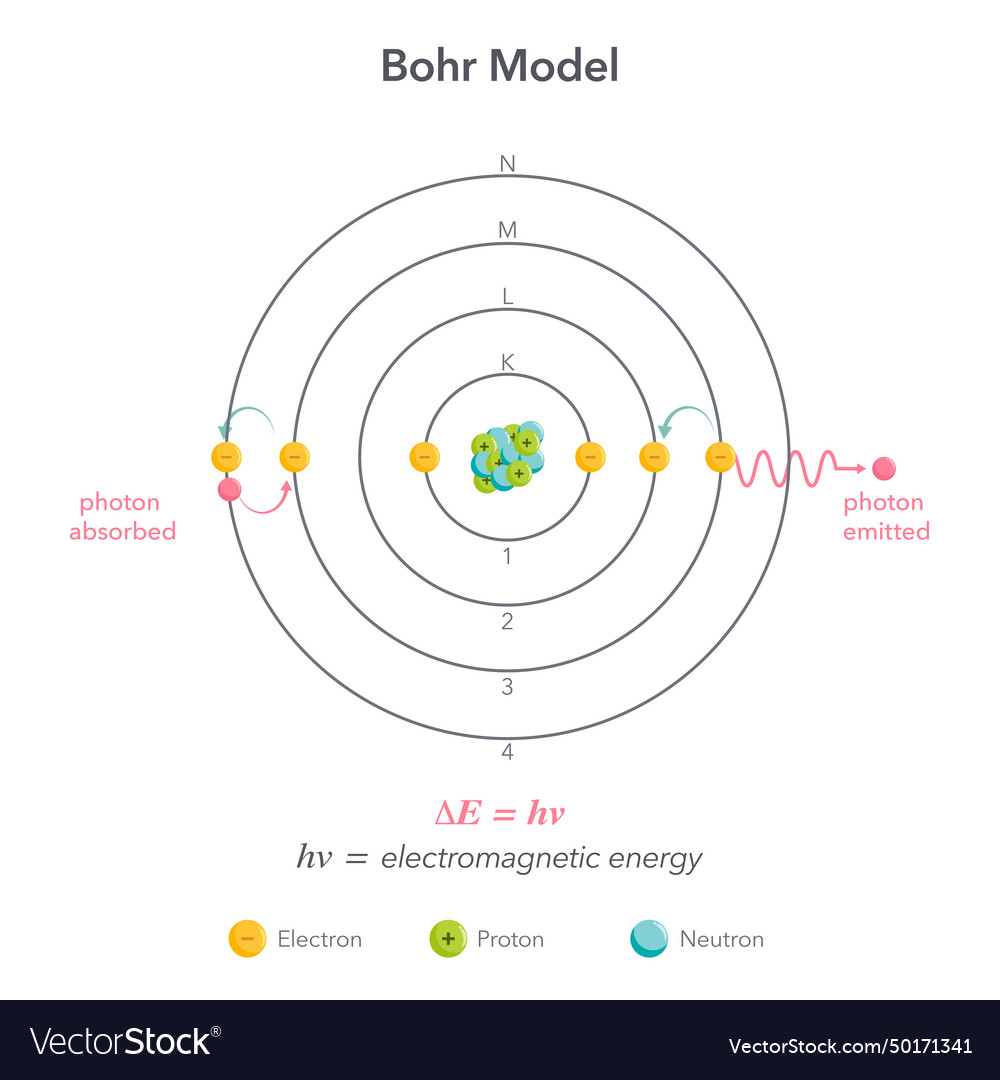 Bohr model Royalty Free Vector Image - VectorStock