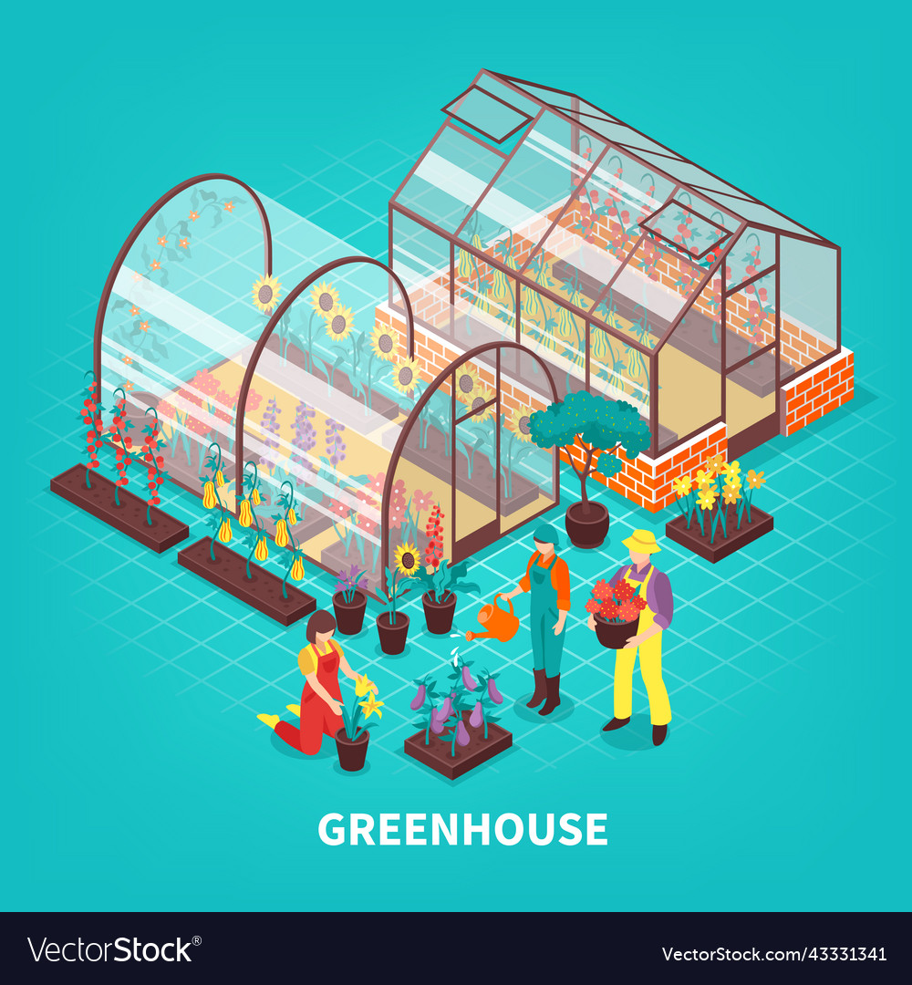 Greenhouse isometric composition Royalty Free Vector Image