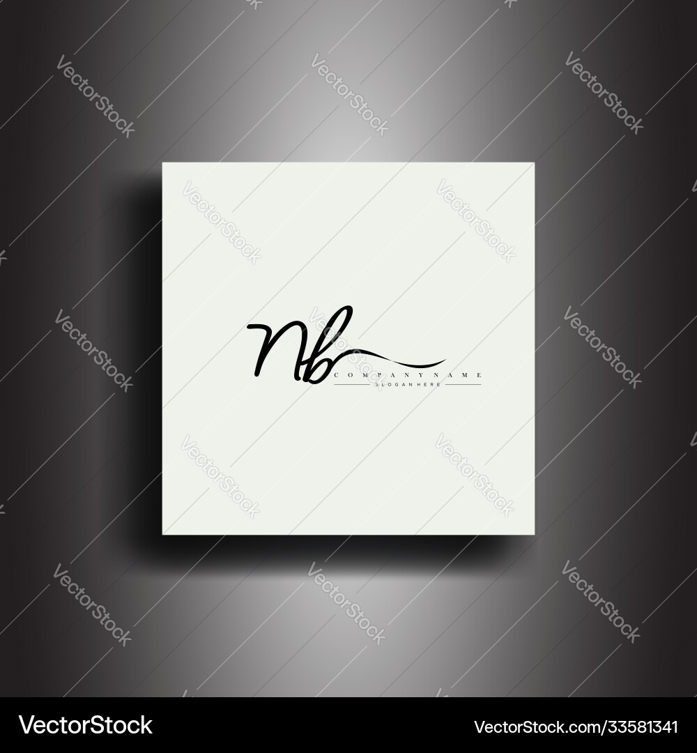 Nb signature style monogramcalligraphic lettering Vector Image
