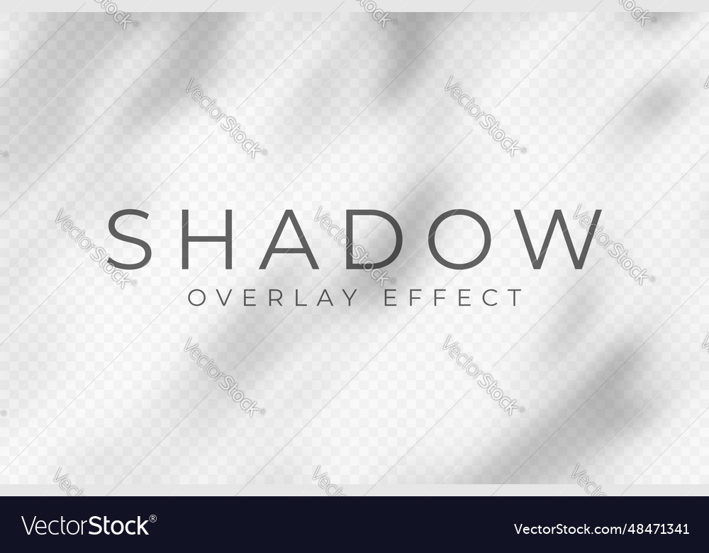 Shadow overlay effect transparent soft light Vector Image
