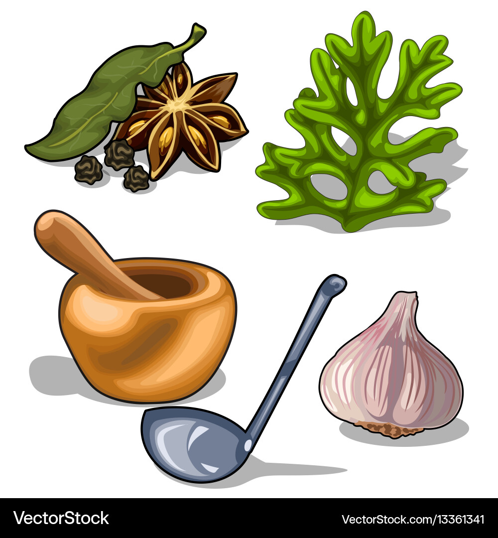 Spices and utensils for cooking isolated Vector Image