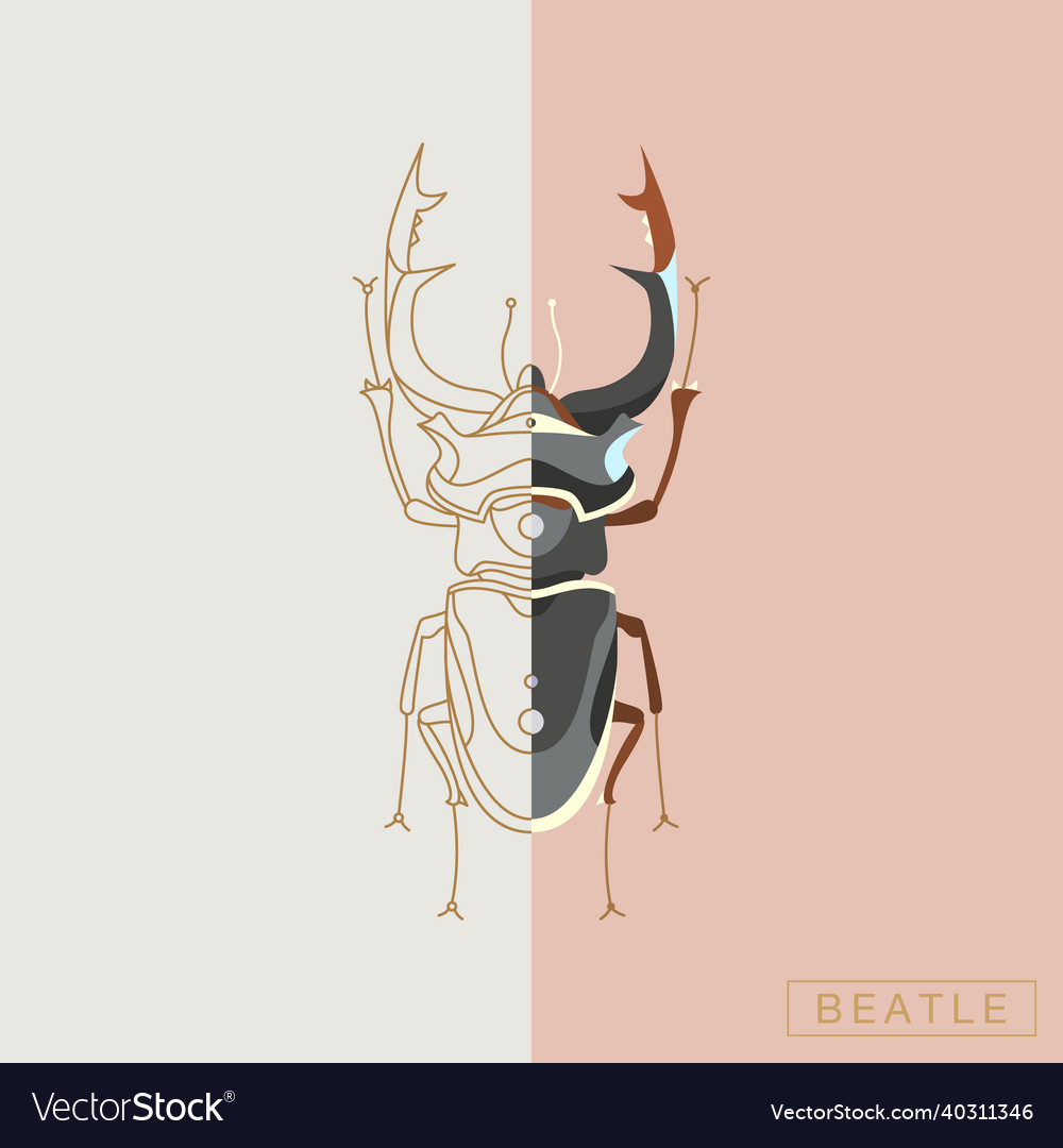 Abstract insects Royalty Free Vector Image - VectorStock