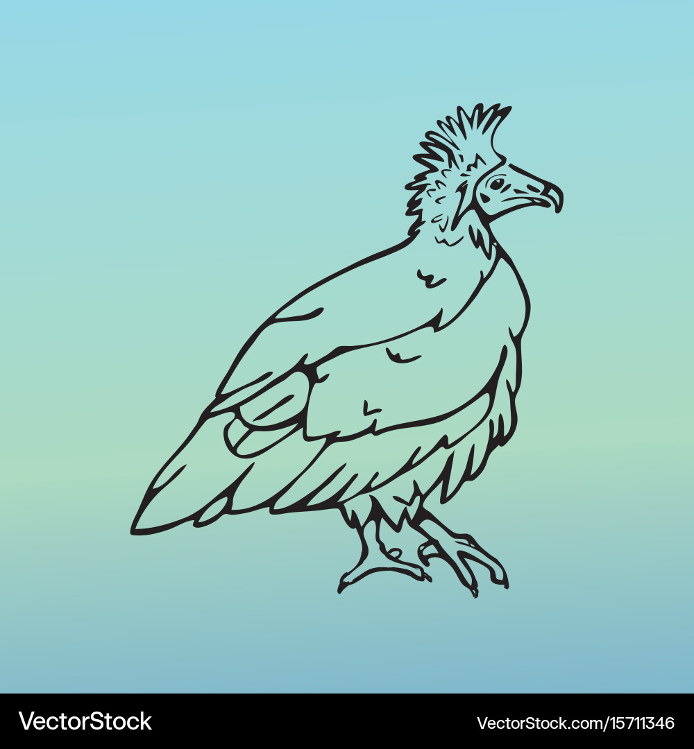 Hand-drawn graphics bird predator of prey Vector Image