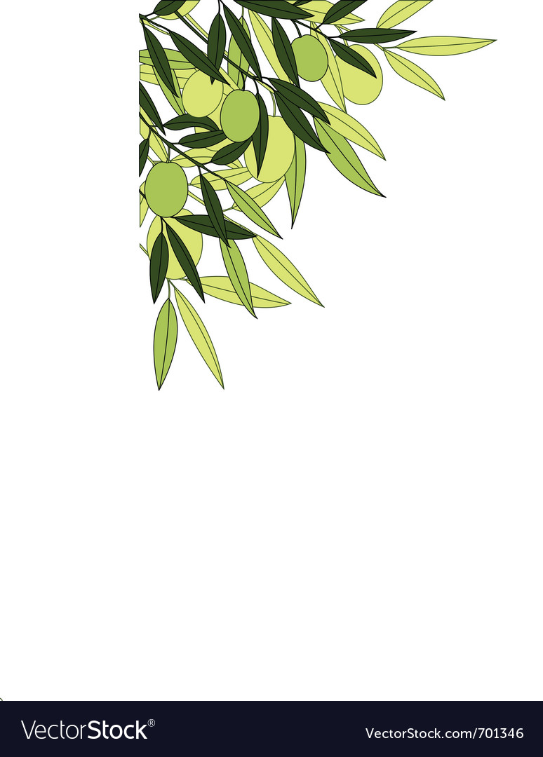 Olives Royalty Free Vector Image - VectorStock