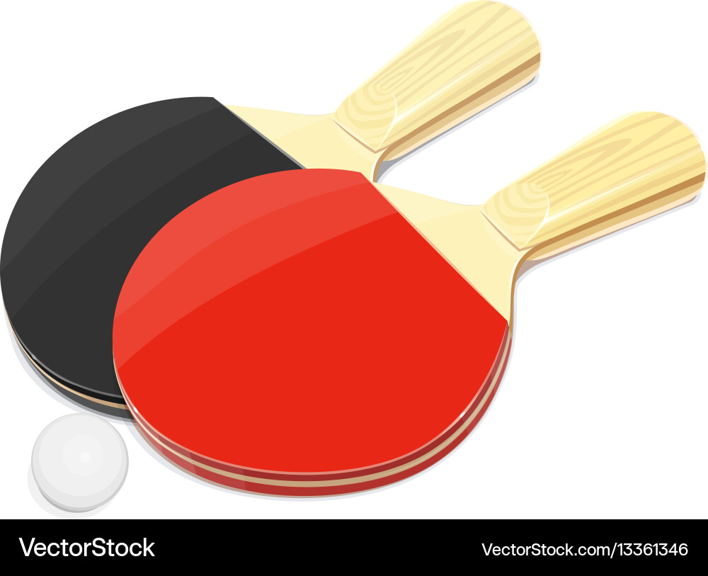 Pair of table tennis racket Royalty Free Vector Image