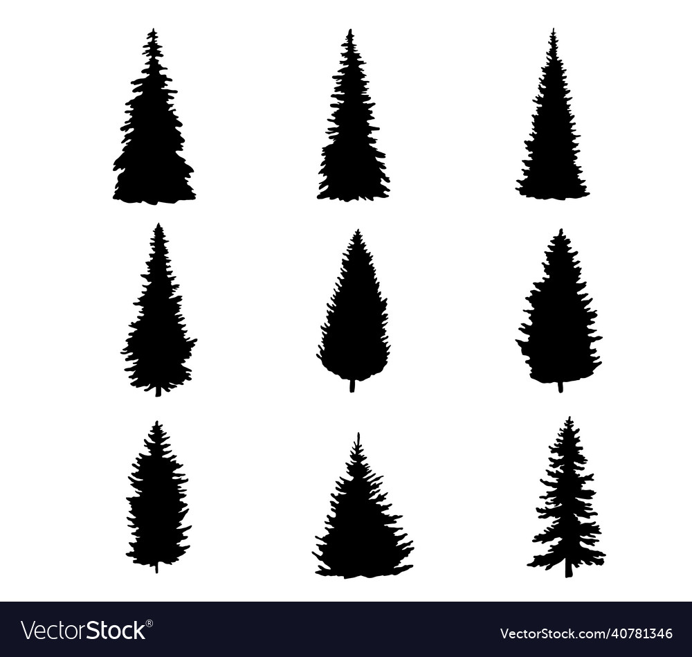 Set of silhouette pine tree shape christmas Vector Image