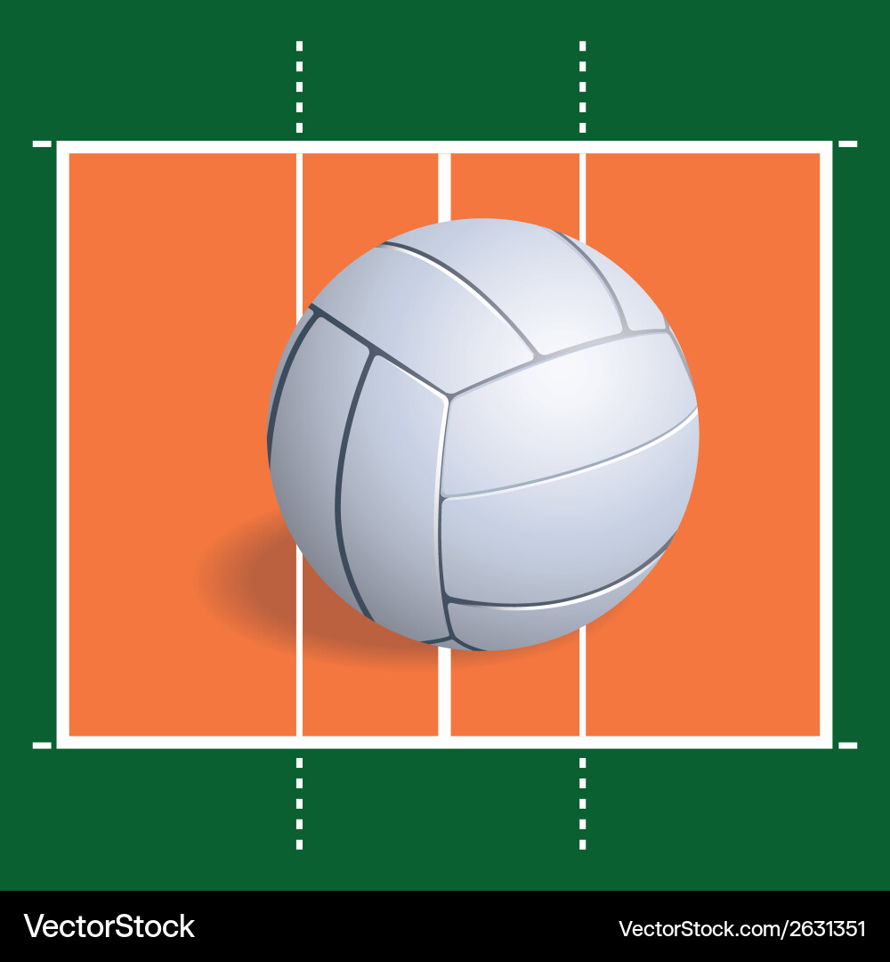 Abstract volleyball ball on a special background Vector Image