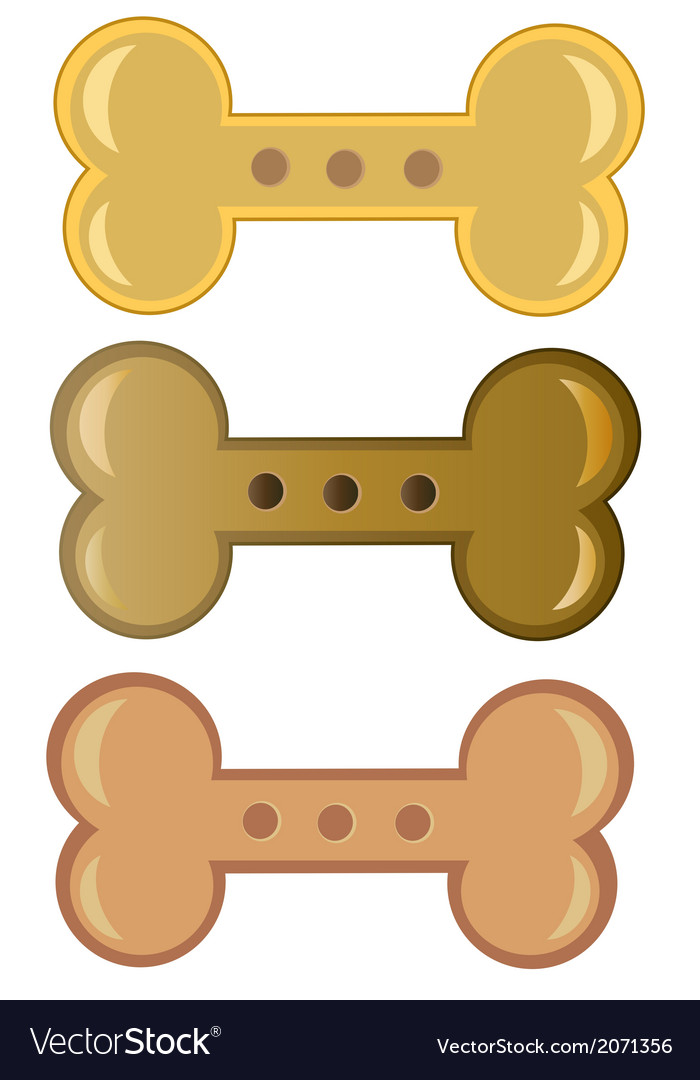 Bone Royalty Free Vector Image - VectorStock