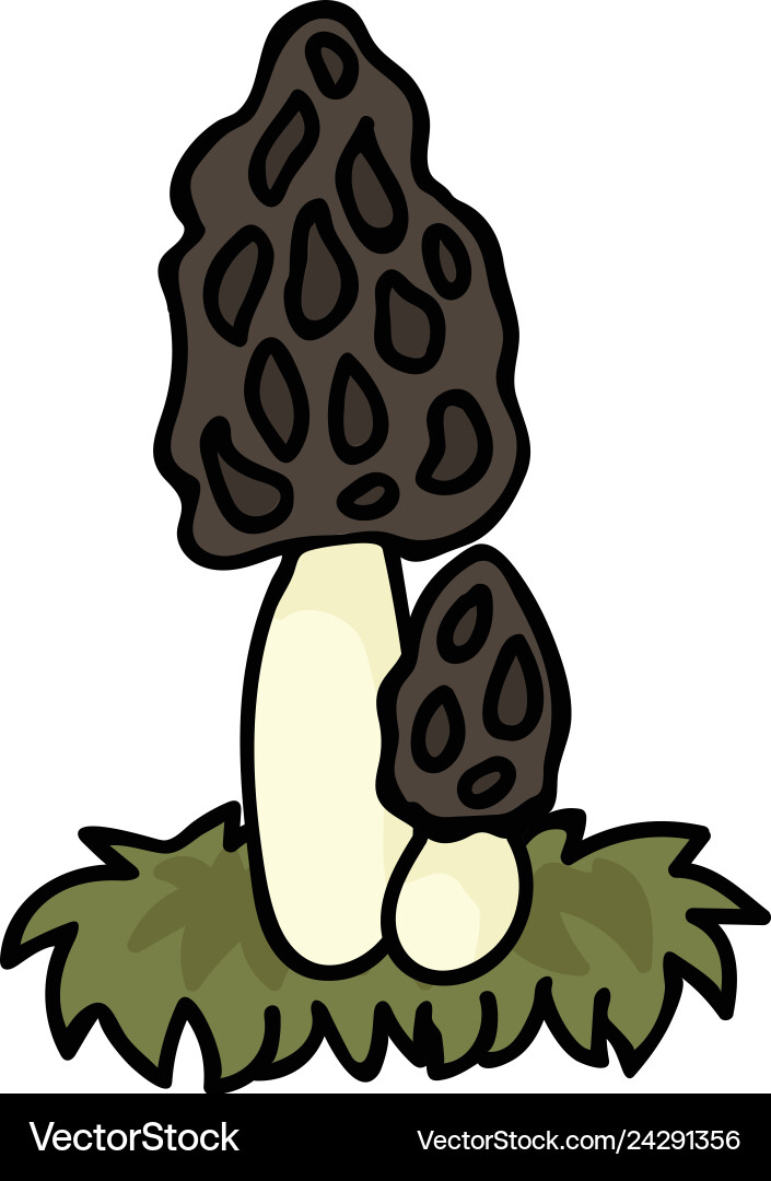 Cute morel cartoon motif set Royalty Free Vector Image