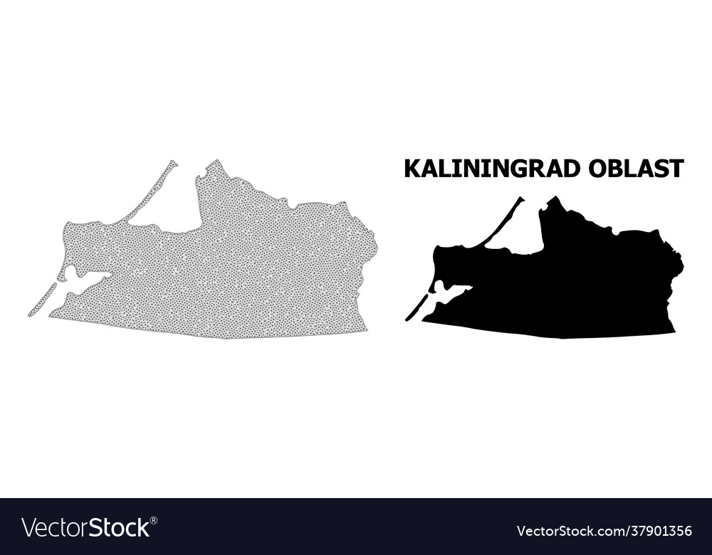 Polygonal carcass mesh high resolution map Vector Image