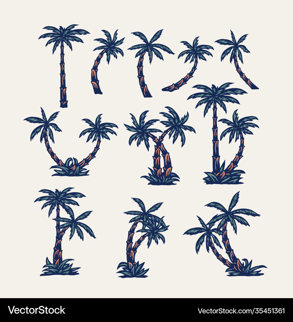 Set palm trees Royalty Free Vector Image - VectorStock