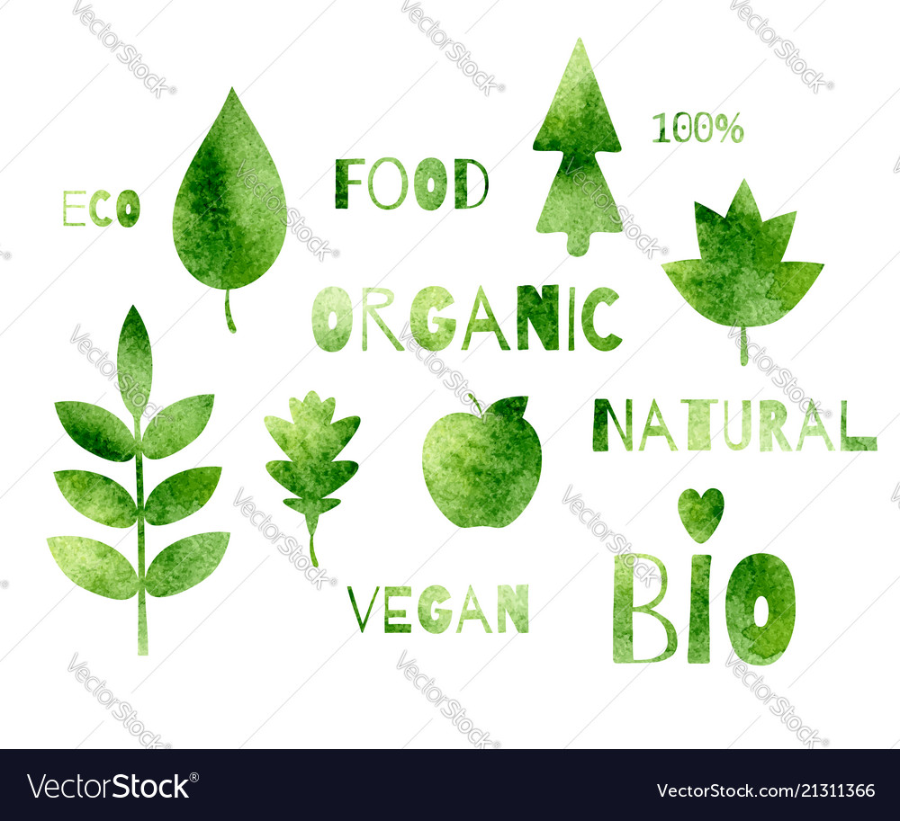 Eco labels Royalty Free Vector Image - VectorStock