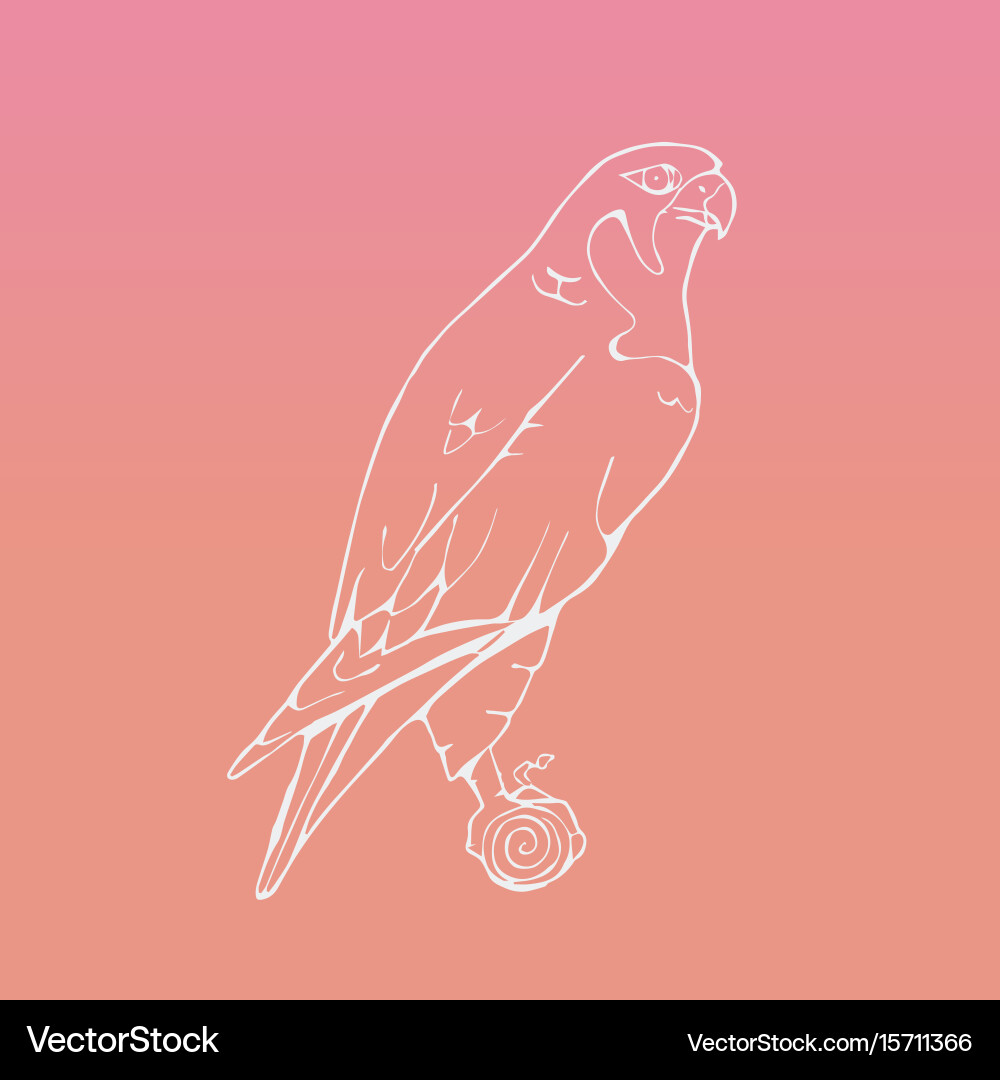 Hand-drawn graphics bird predator of prey Vector Image