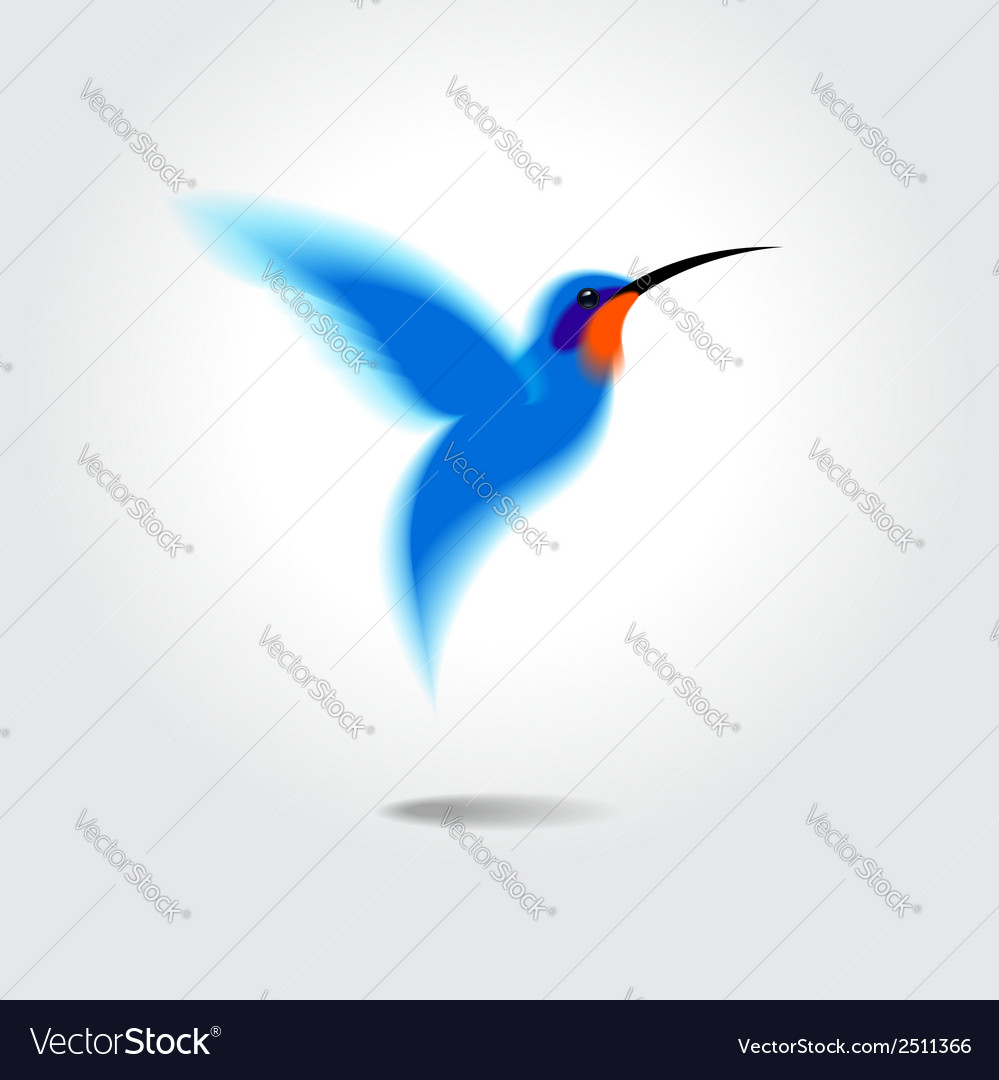 Hummingbird Royalty Free Vector Image - VectorStock