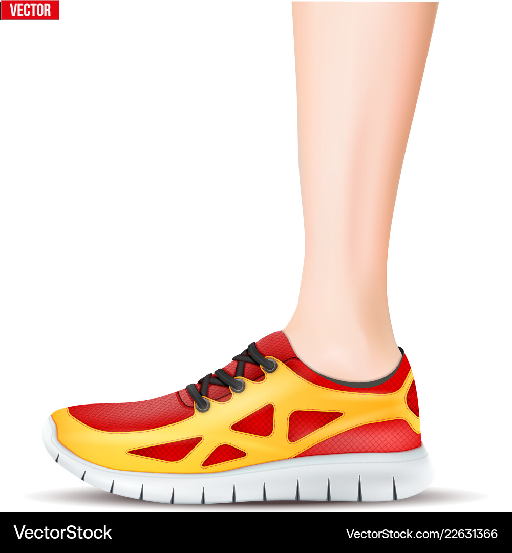 Leg with sport sneakers Royalty Free Vector Image