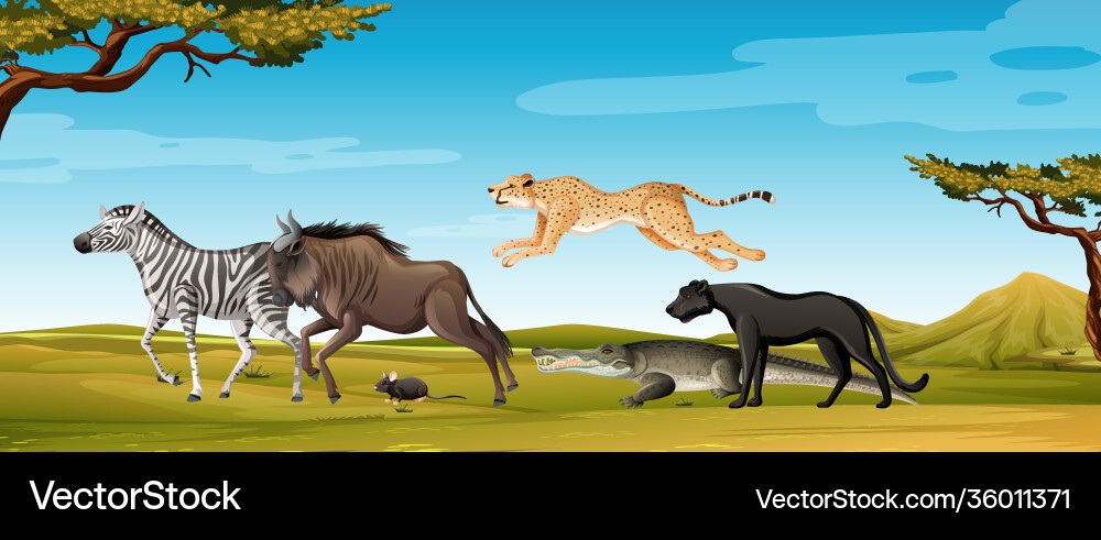Group wild african animal in forest scene Vector Image